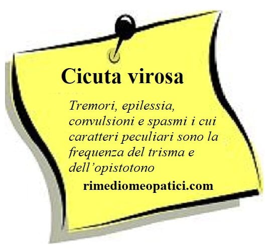 Cicuta virosa, uso omeopatico, cicuta omeopatico